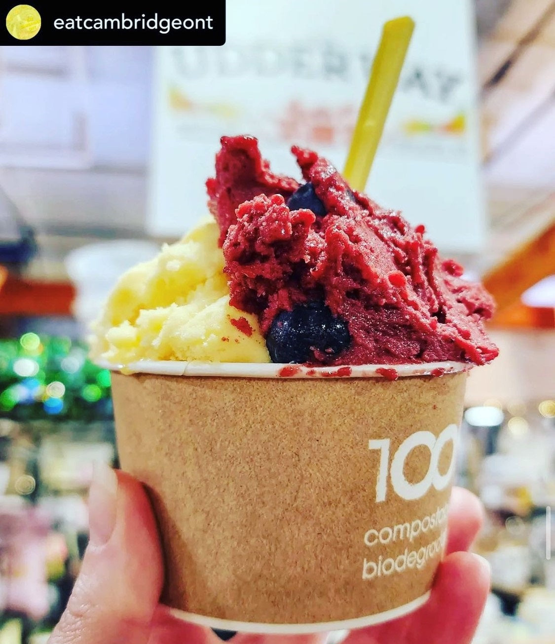 Discover the Delights of Gelato: Your Passport to Summer Bliss! – The ...